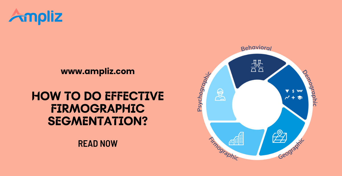 How to do Effective Firmographic Segmentation?